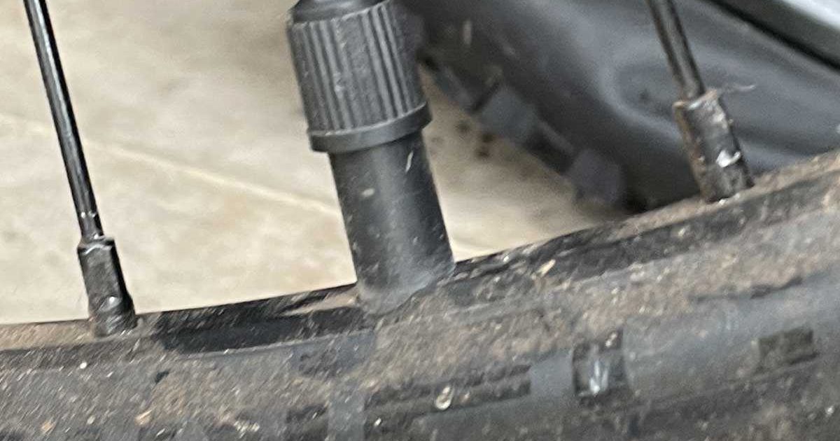 Types of Bicycle Valve | Assetsure